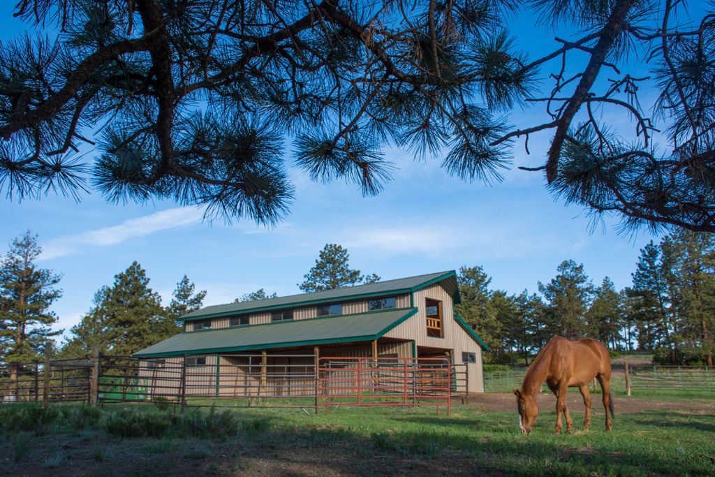 CO Ranch For Sale - Bear Bones Ranch - Westcliffe Colorado - Barn & Corrals