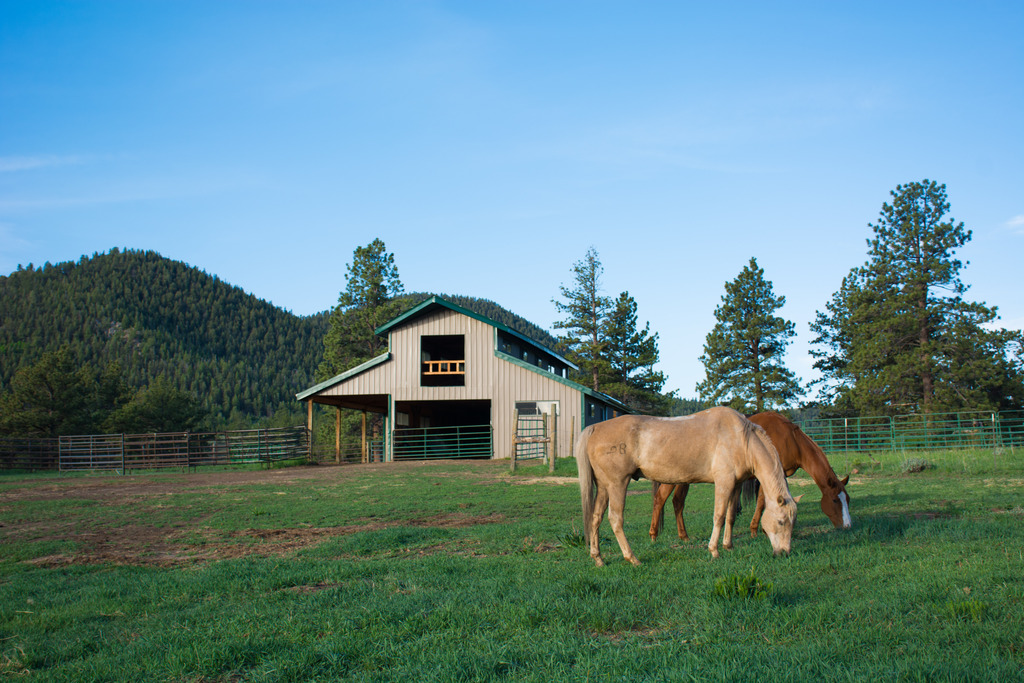CO Horse Ranch For Sale - Bear Bones Ranch - Westcliffe Colorado ...