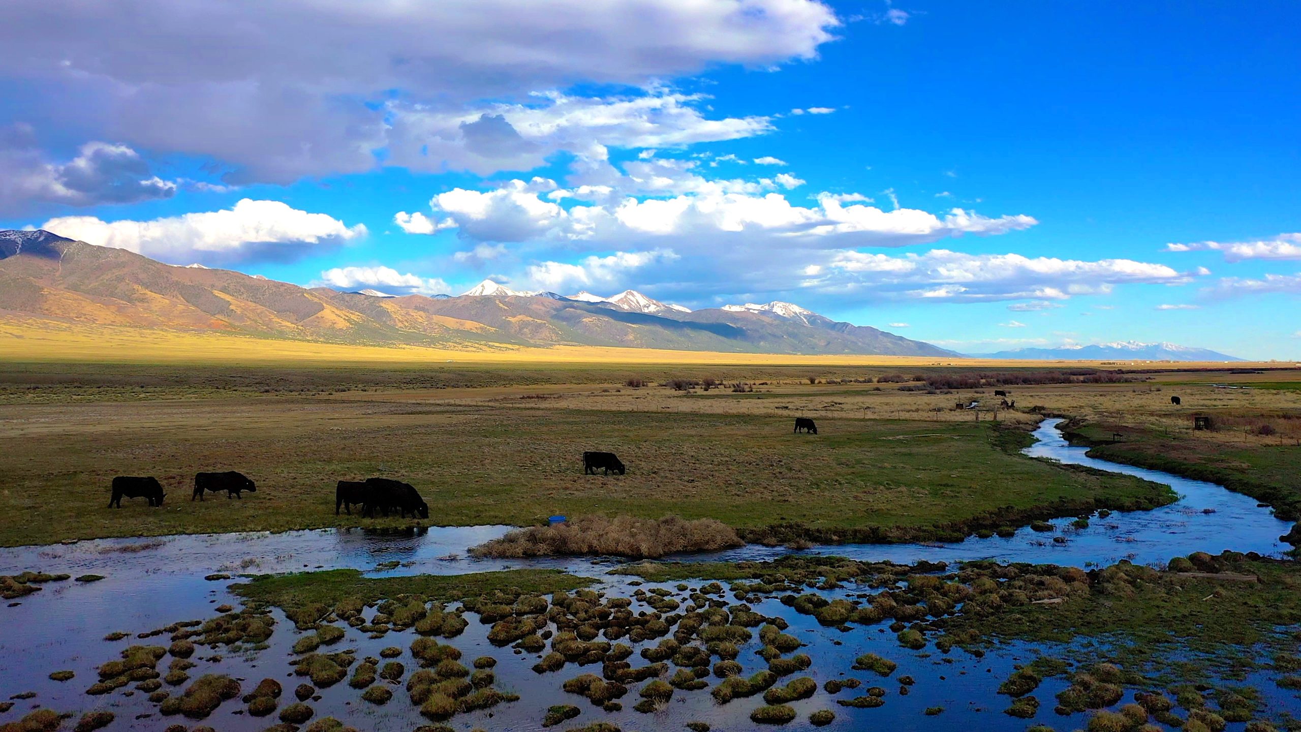 Colorado Ranch, Land, Farm & Luxury Homes For Sale - Bill Davis ...