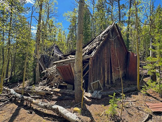 Collapsed cabin II - Colorado Ranch and Land