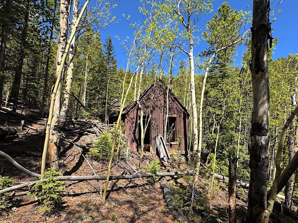 collapsed cabin - Colorado Ranch and Land